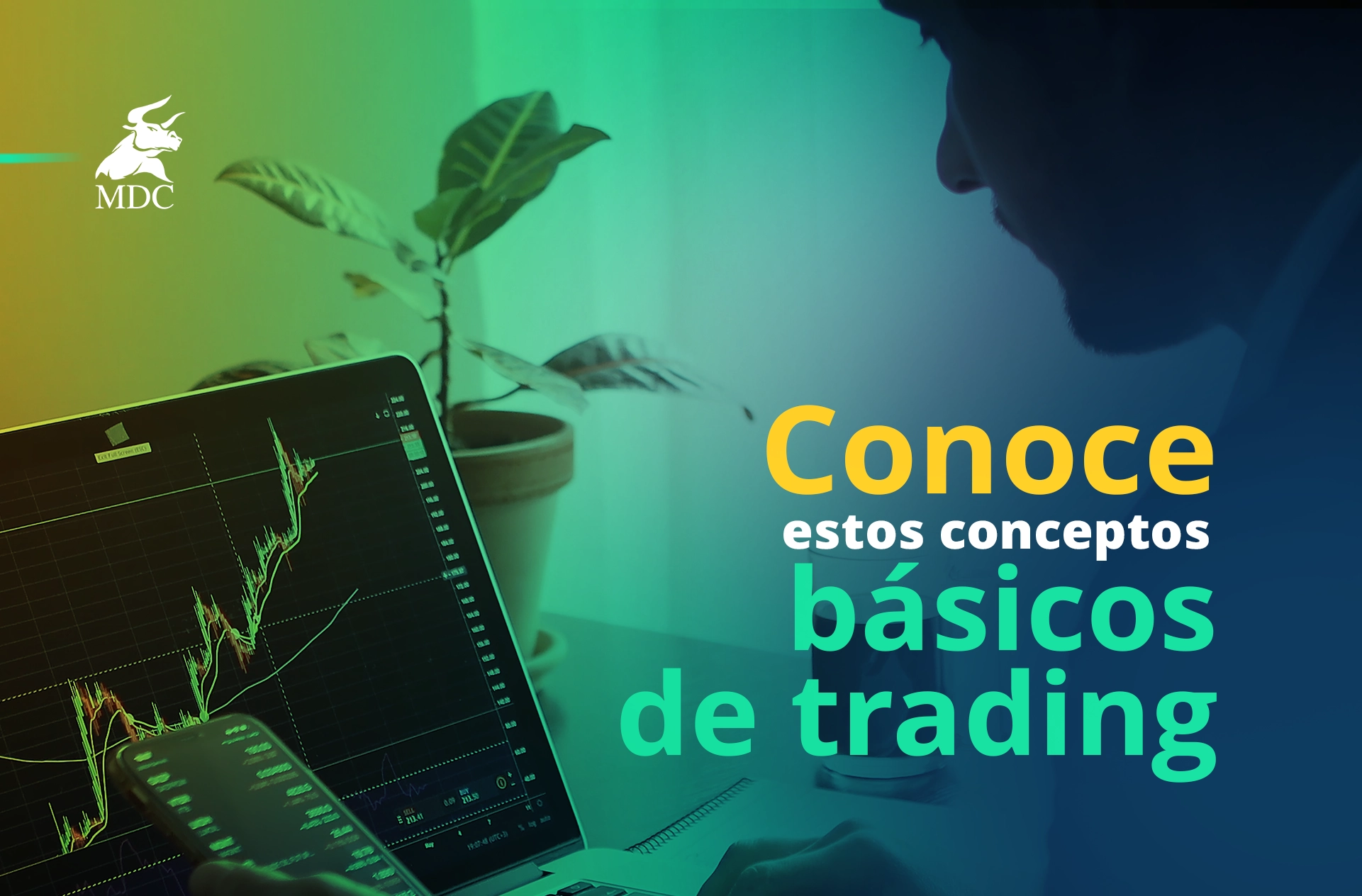 Entradas y salidas en trading: ¿Qué son y cómo hacerlo correctamente? | MDC Trading Academy